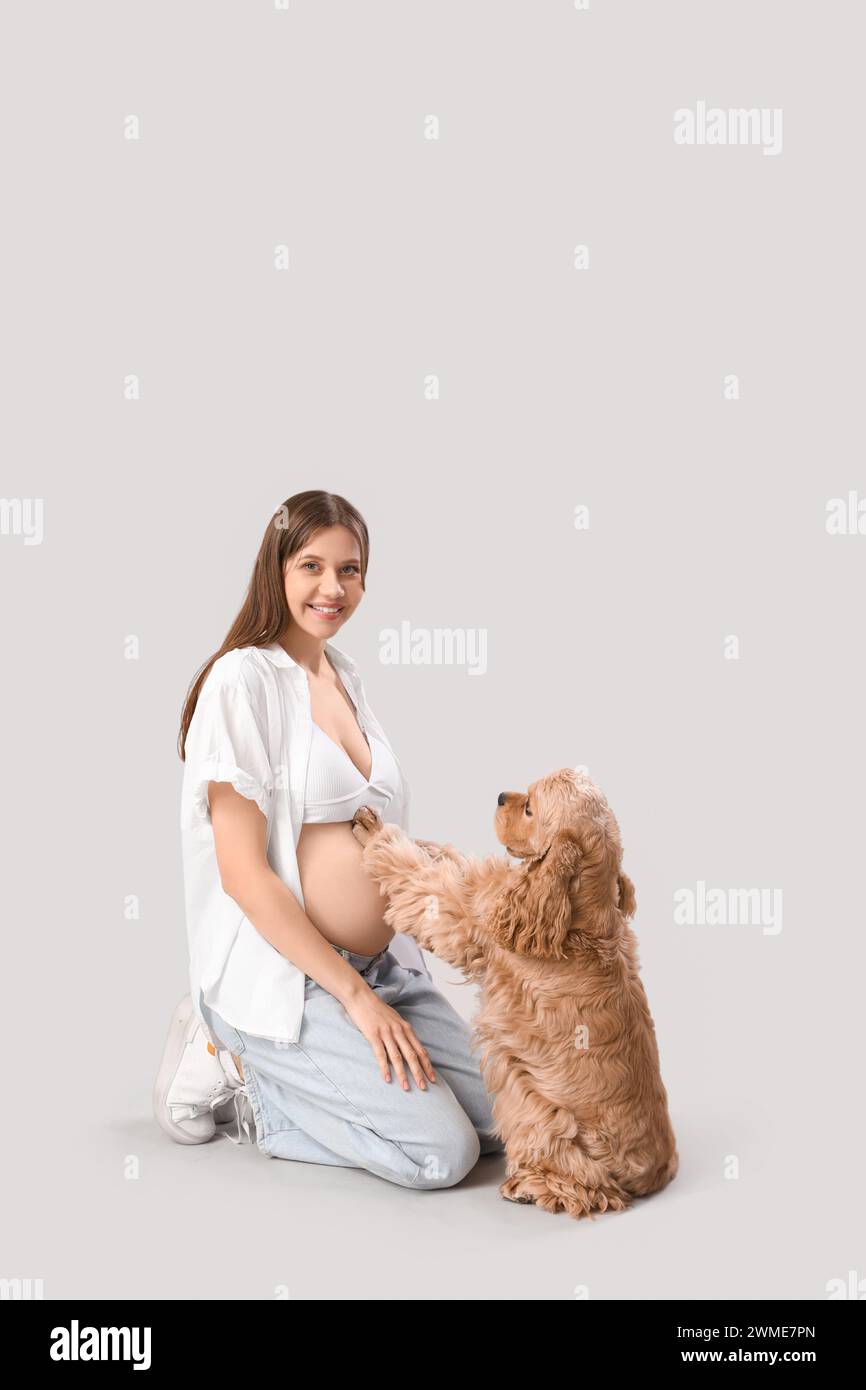 Young pregnant woman with cute cocker spaniel on light background Stock ...