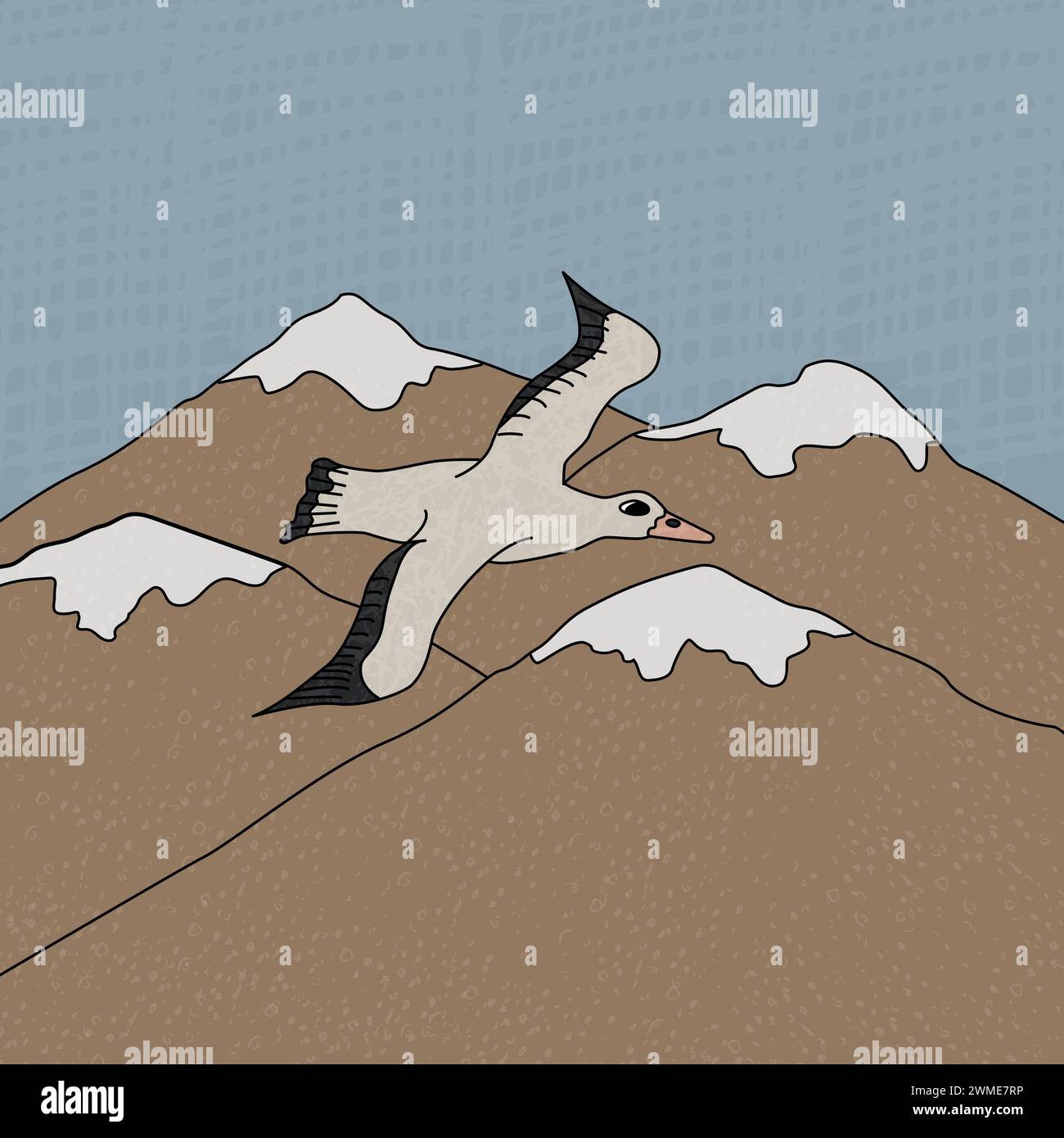 Illustration albatross hi-res stock photography and images - Alamy