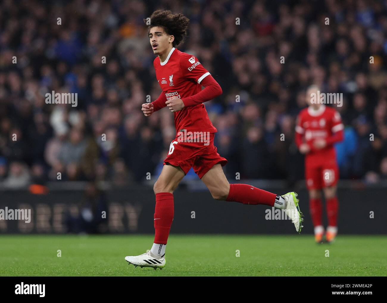 London, UK. 25th Feb, 2024. Jayden Danns of Liverpool during the ...