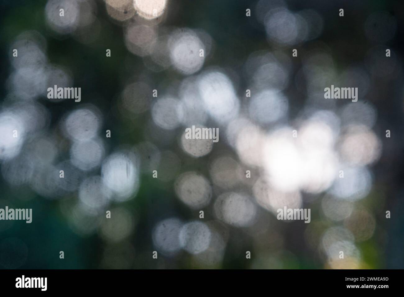 Blur object for background with nature theme Stock Photo - Alamy