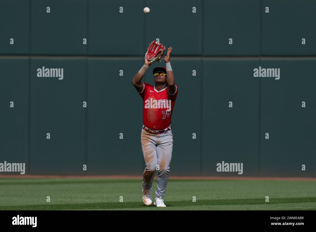 Los Angeles Angels center fielder Rada Nelson catches a fly ball in the ...
