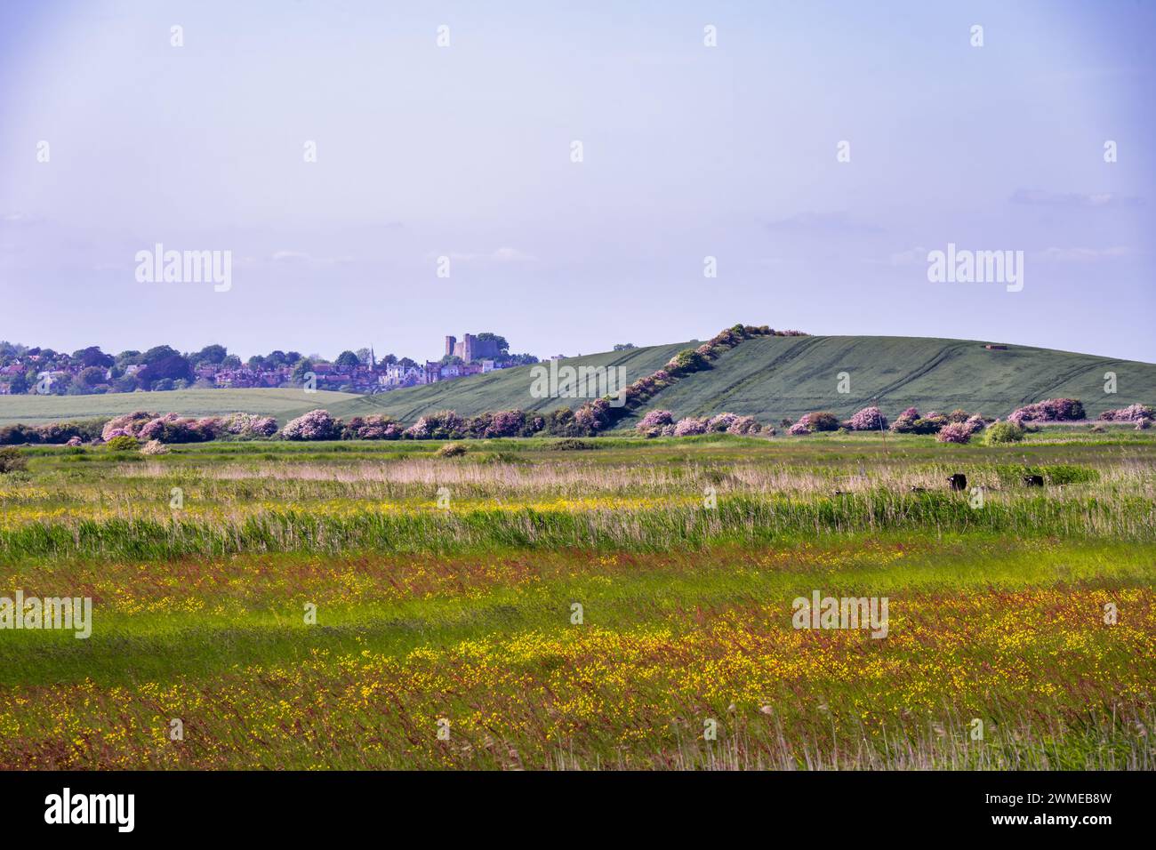 Walking in East Sussex, England, in spring, view of the countryside and ...