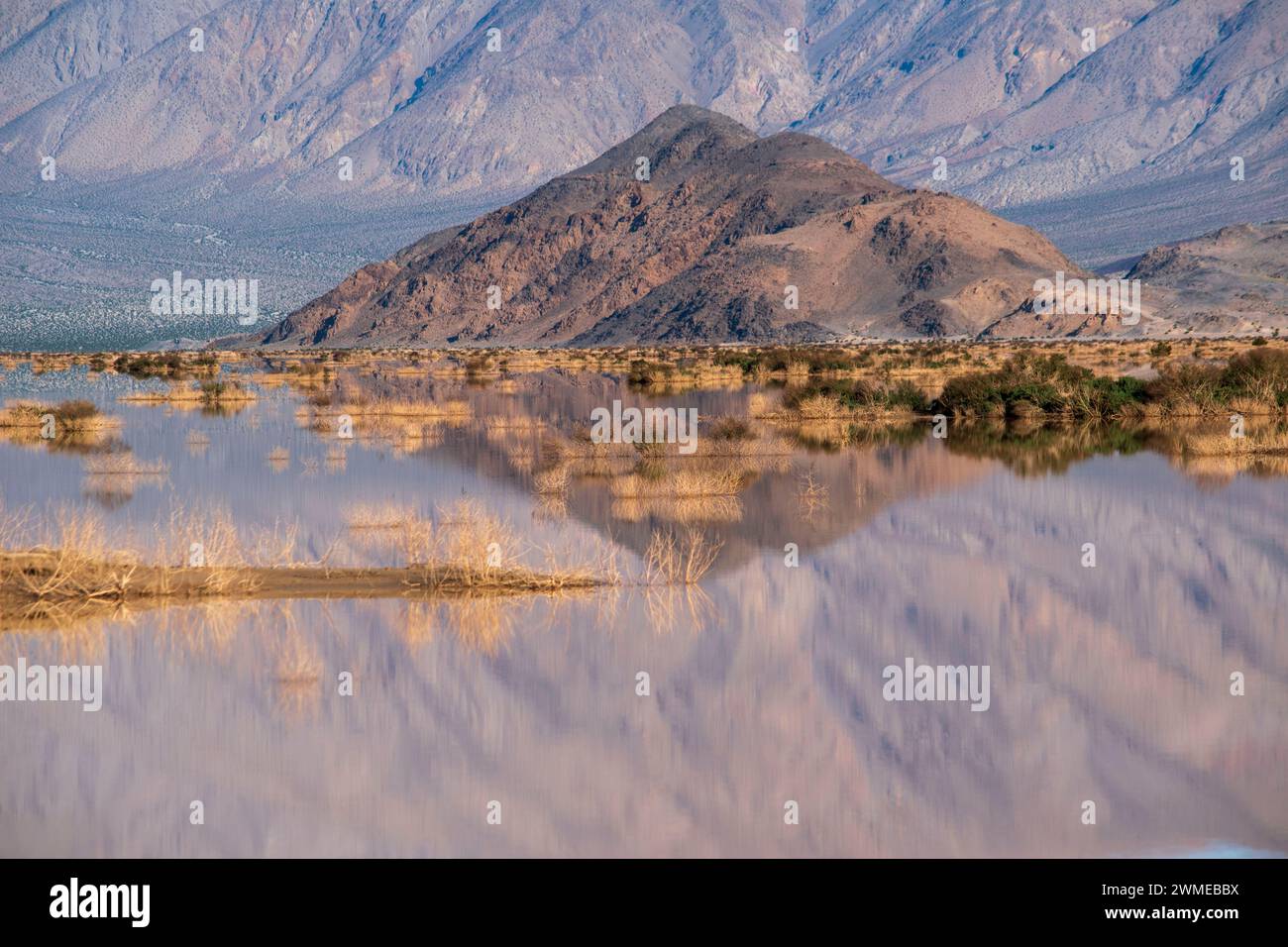 The lakes in Panamint Valley create rare reflections in this part of ...