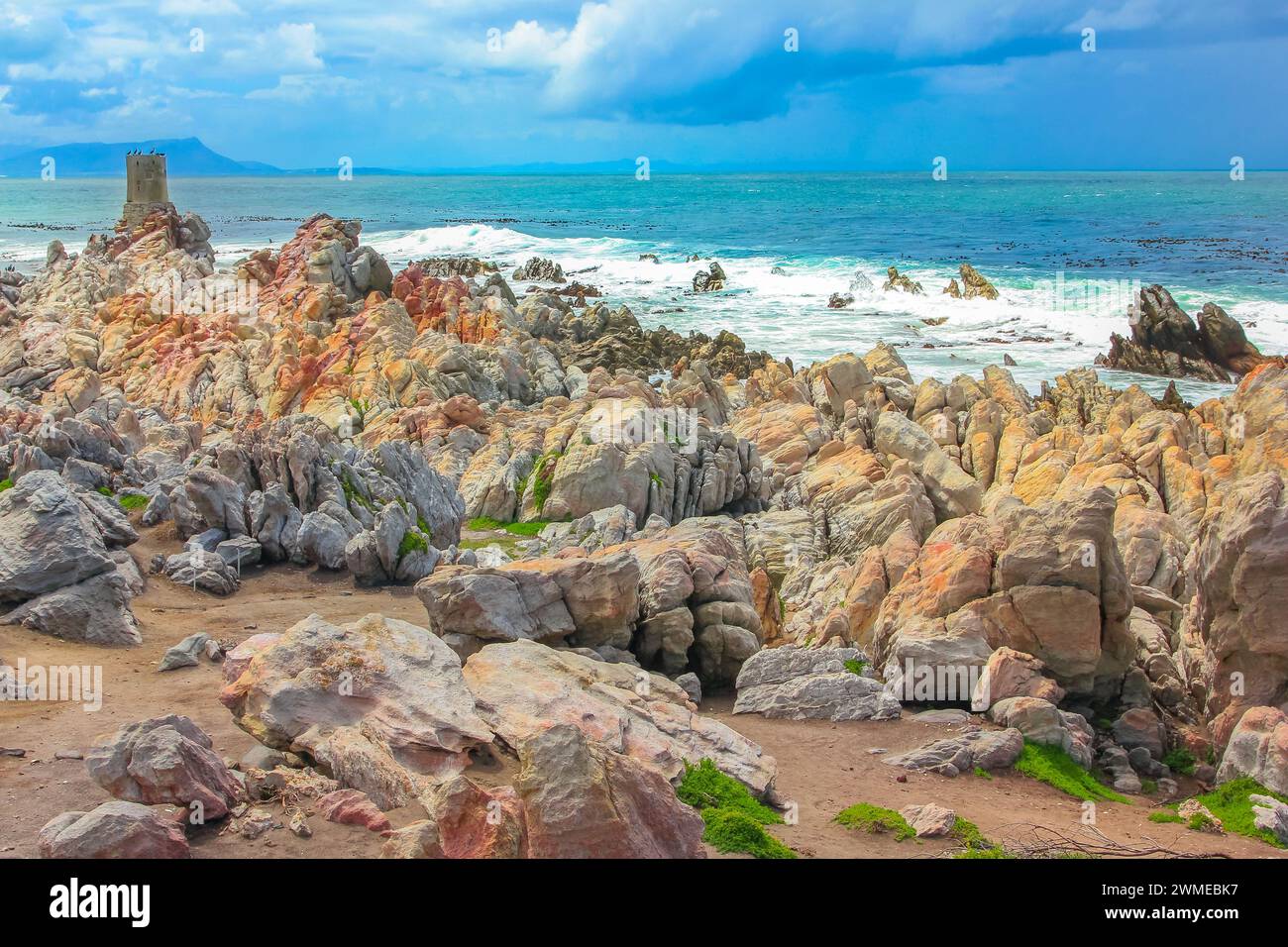 Stony Point Penguins of Betty's Bay, Western Cape, South Africa. Stony ...