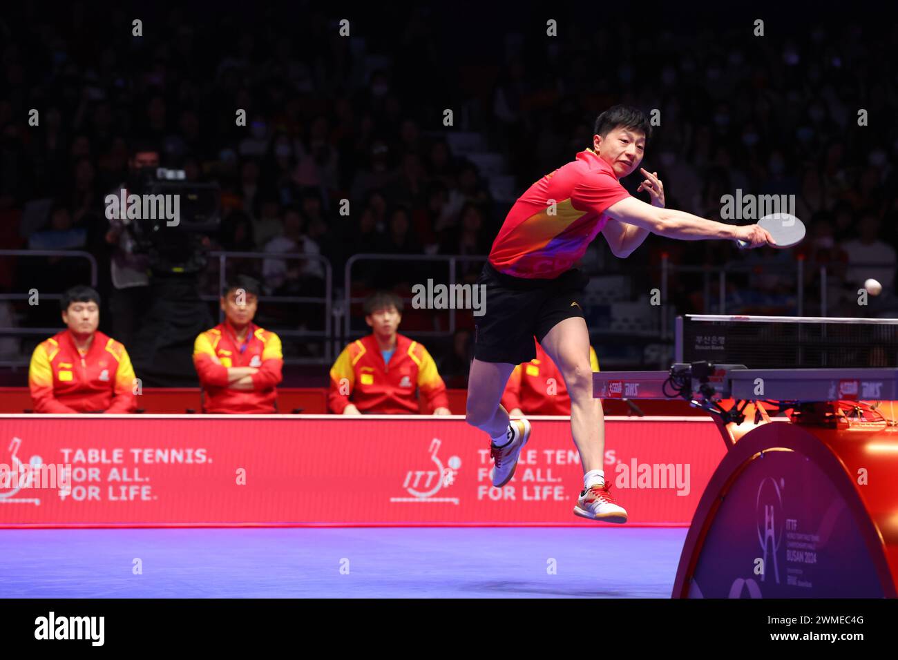 MA Long (CHN), FEBRUARY 25, 2024 - Table Tennis : ITTF World Team Table ... MA Long (CHN), FEBRUARY 25, 2024 - Table Tennis : ITTF World Team Table ...