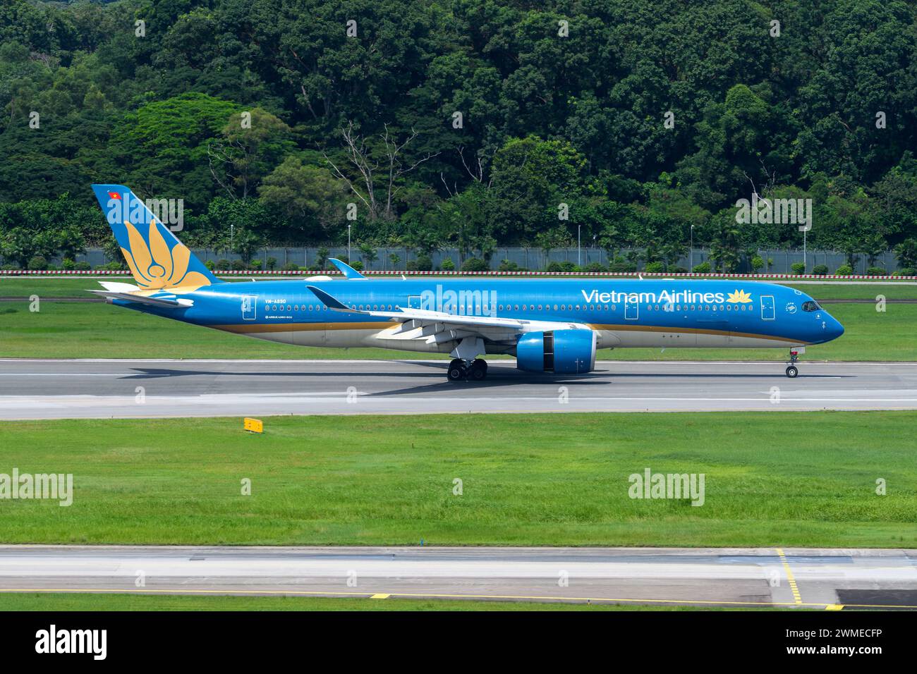 Vietnam Airlines Airbus A350 aircraft landing. Airplane A350-900 of ...