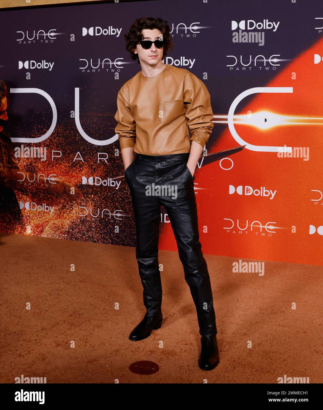 New York, United States. 25th Feb, 2024. Timothee Chalamet arrives on ...