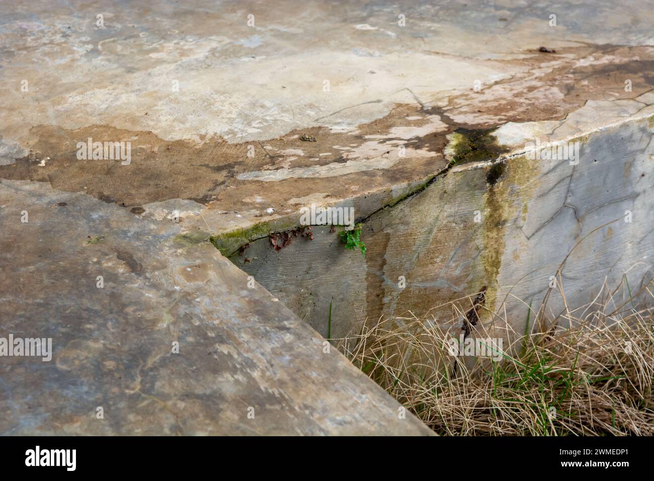 Blur object for background with nature theme Stock Photo - Alamy