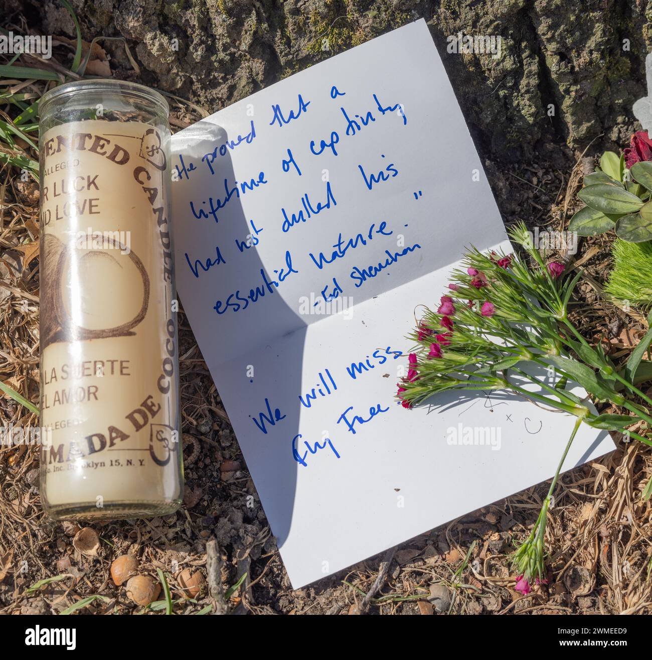 NEW YORK, N.Y. – February 25, 2024: A tribute to Flaco the owl is seen ...