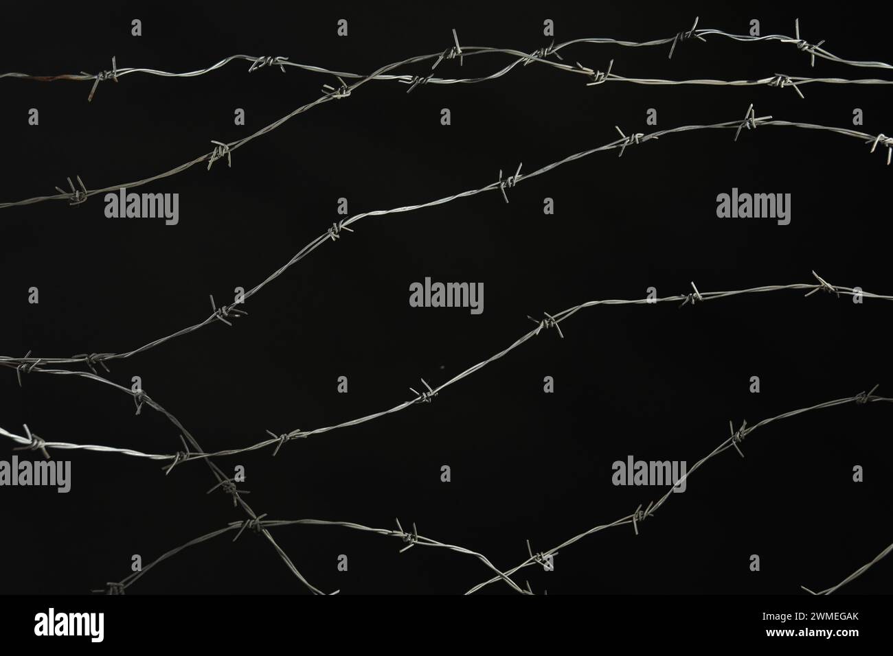 Shiny metal barbed wire on black background Stock Photo - Alamy