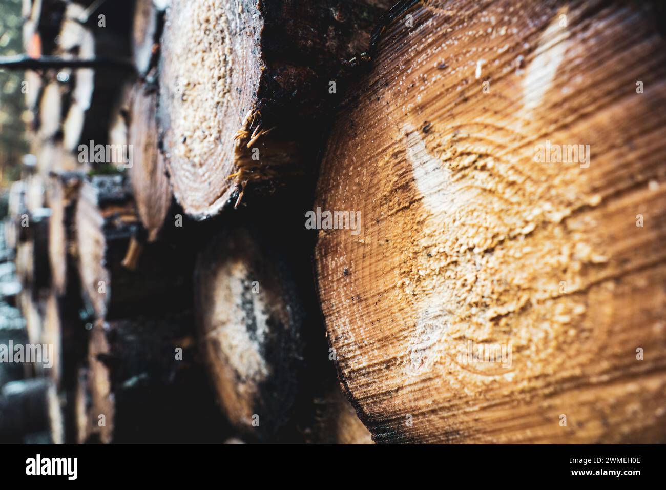 How to stack logs for cabin hi-res stock photography and images - Alamy