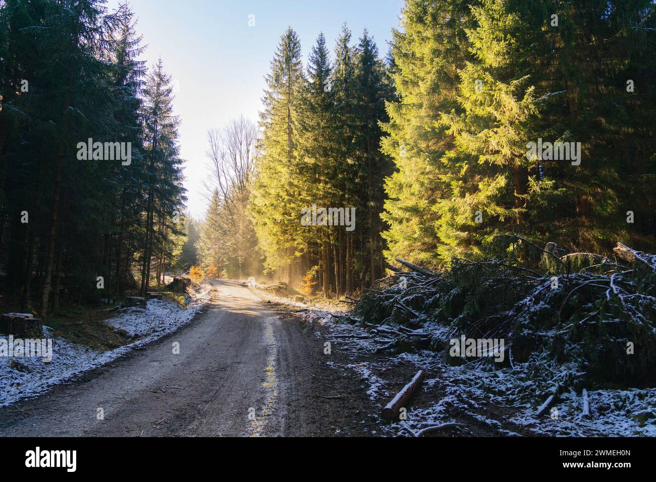 Winding dirt road cutting through hi-res stock photography and images ...