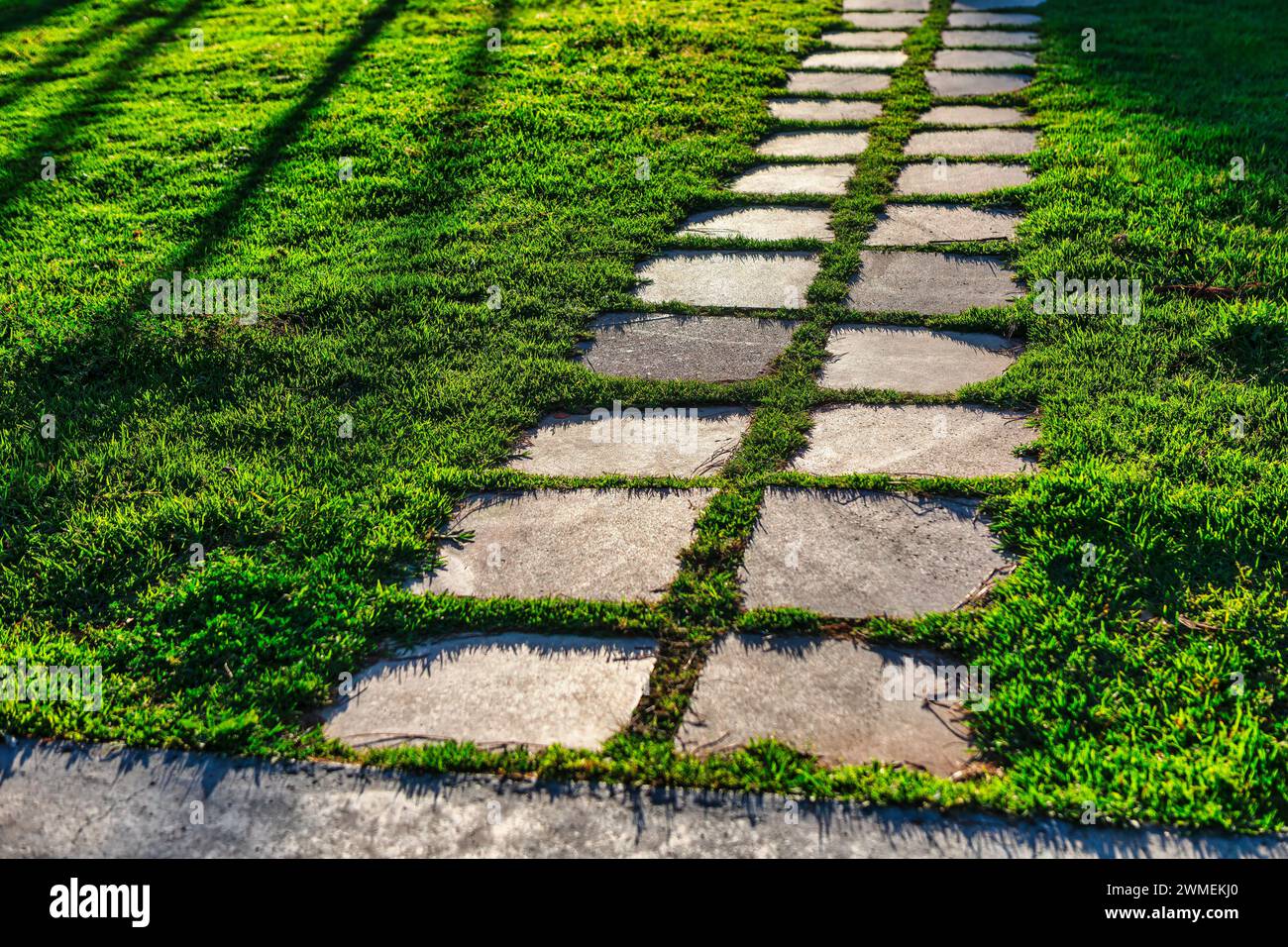 Stone walkway in the park with green grass and sunlight Stock Photo - Alamy