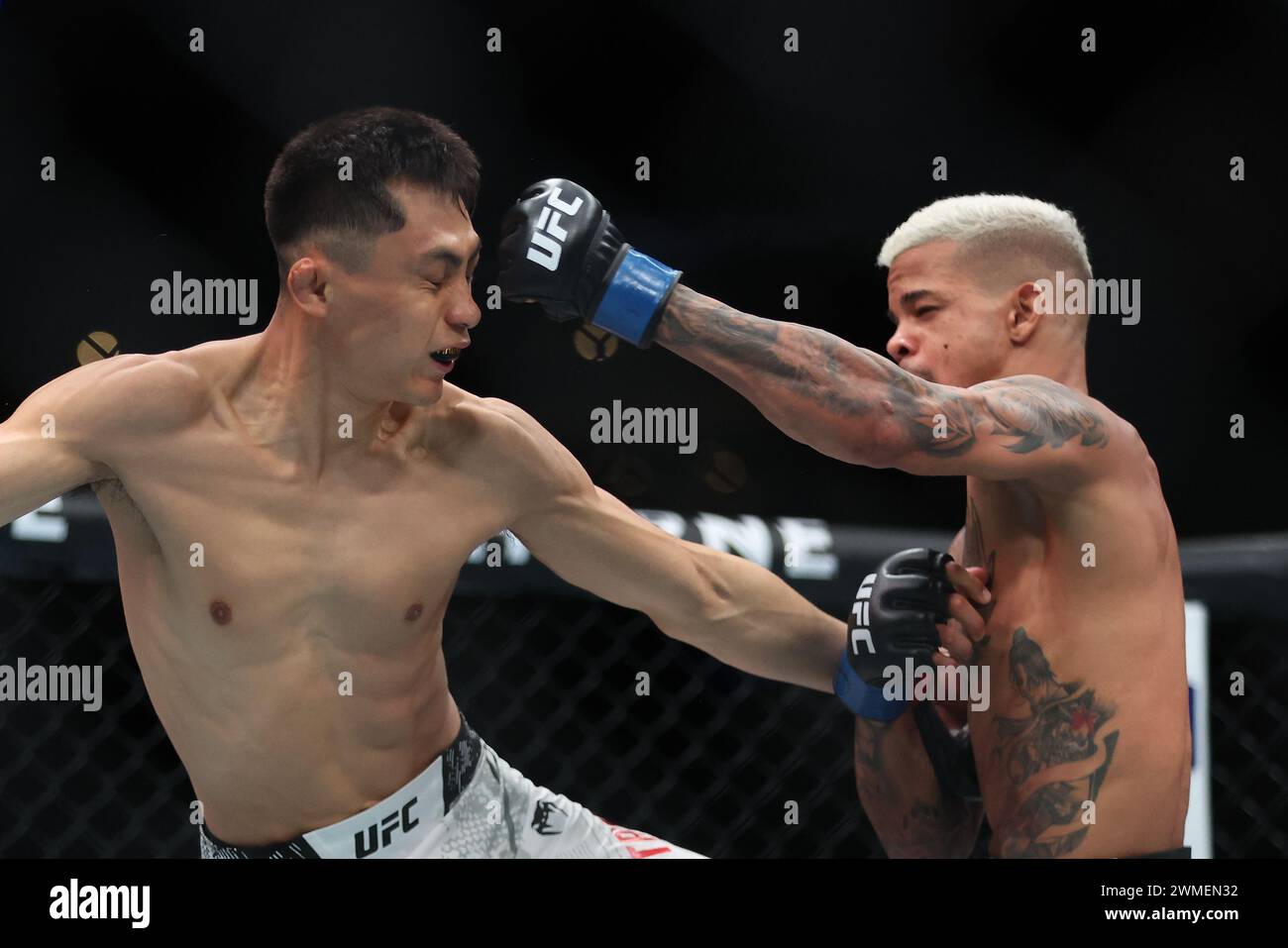 Mexico City, Mexico. 24th Feb, 2024. MEXICO CITY, MEX - February 24 ...