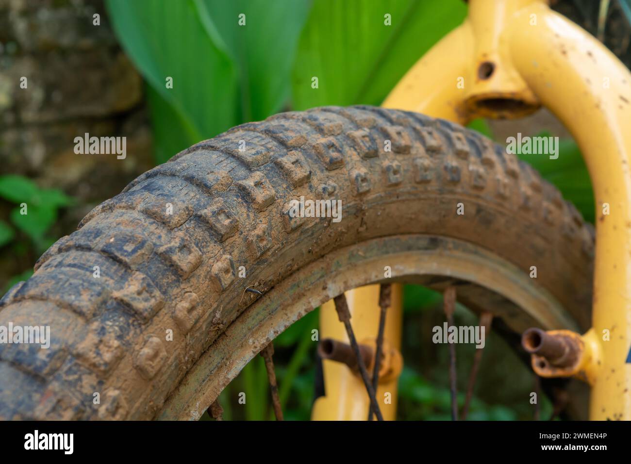 Photos of bicycle rings or tires with spokes Stock Photo - Alamy