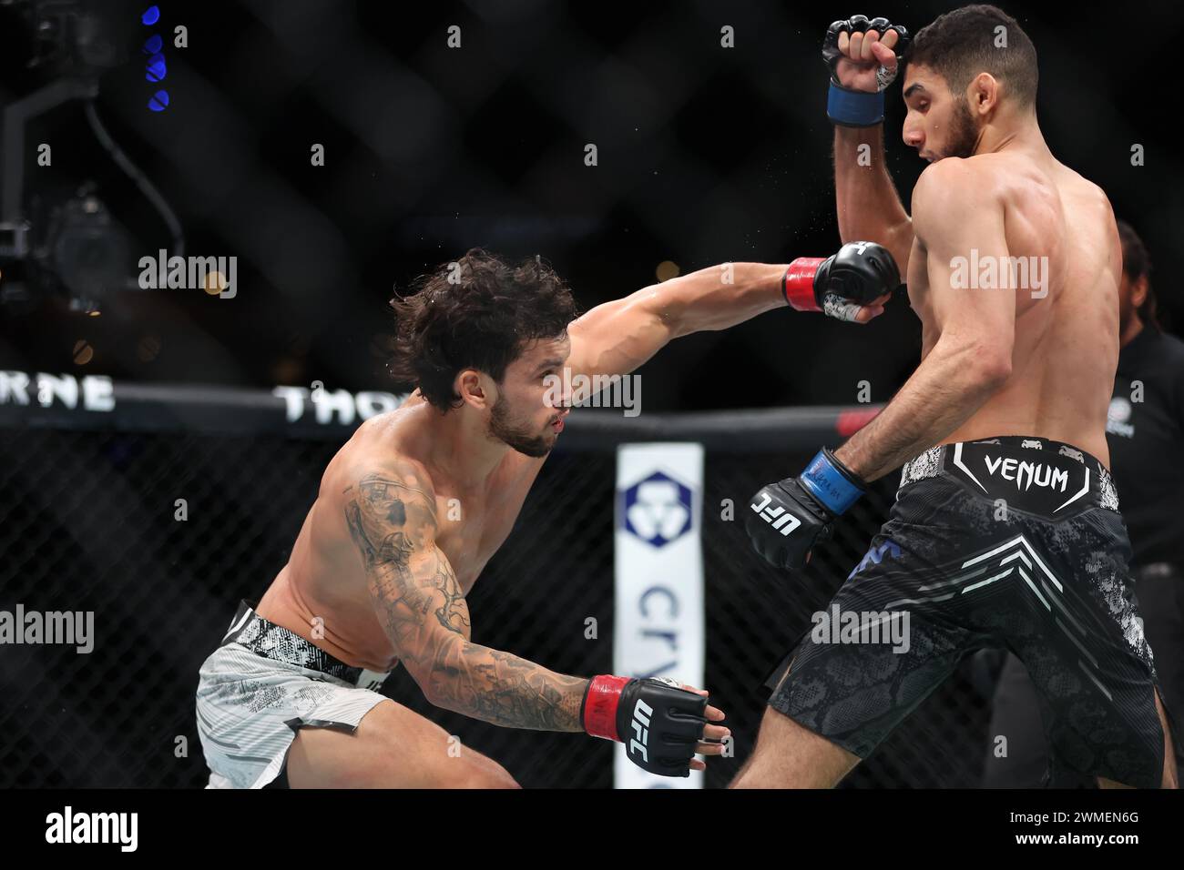 Mexico City, Mexico. 24th Feb, 2024. MEXICO CITY, MEX - February 24 ...