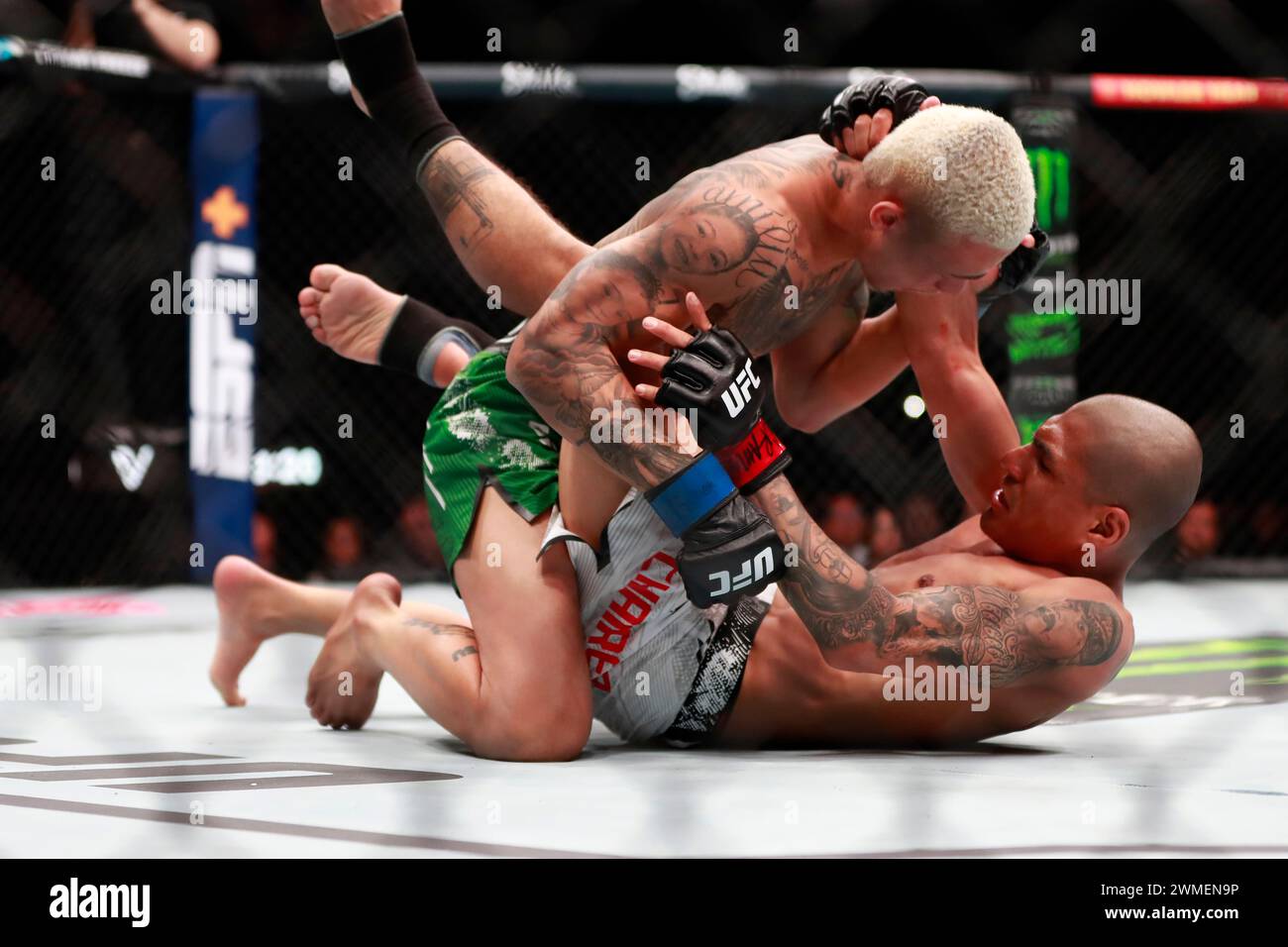 Edgar chairez and daniel lacerda hi-res stock photography and images ...