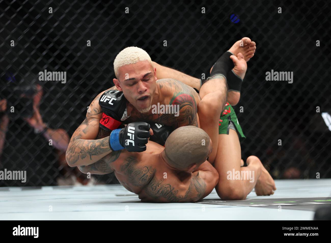 Mexico City, Mexico. 24th Feb, 2024. MEXICO CITY, MEX - February 24 ...