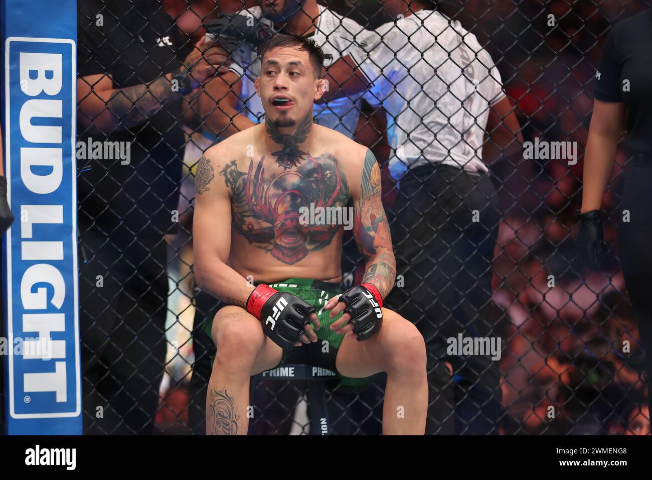 Mexico City, Mexico. 24th Feb, 2024. MEXICO CITY, MEX - February 24 ...