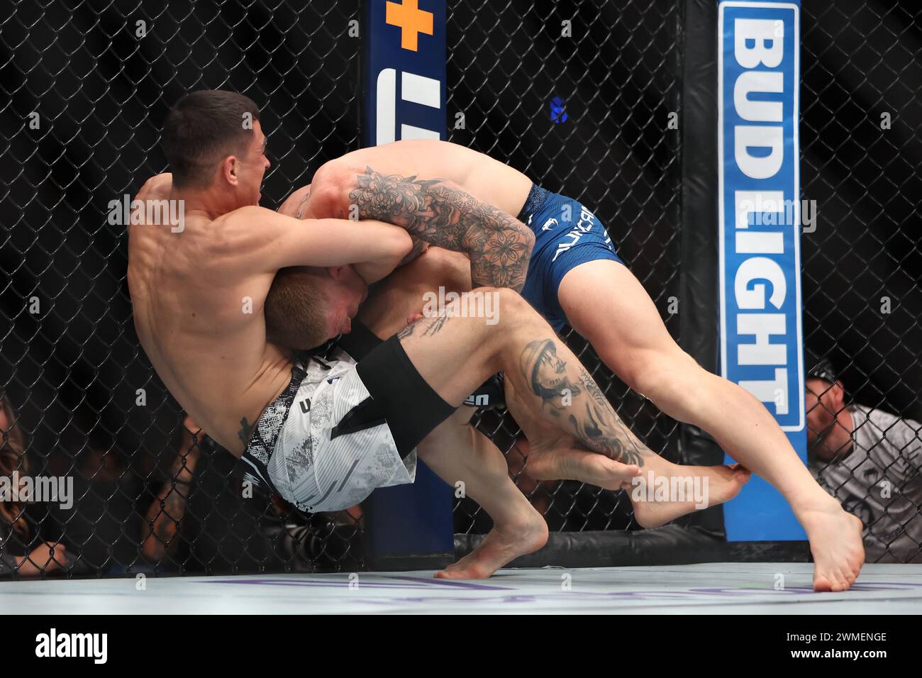 Mexico City, Mexico. 24th Feb, 2024. MEXICO CITY, MEX - February 24 ...