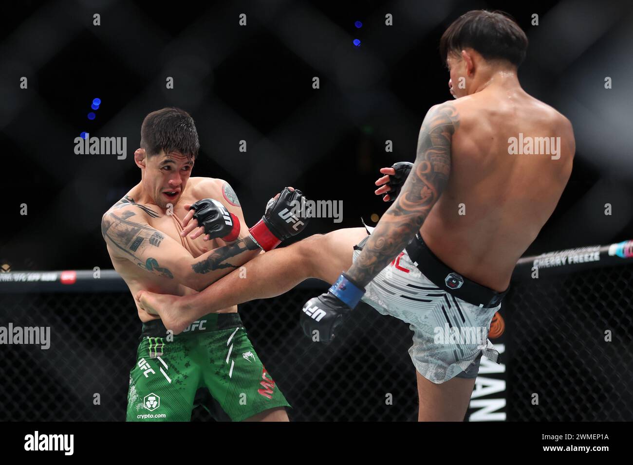 Mexico City, Mexico. 24th Feb, 2024. MEXICO CITY, MEX - February 24 ...