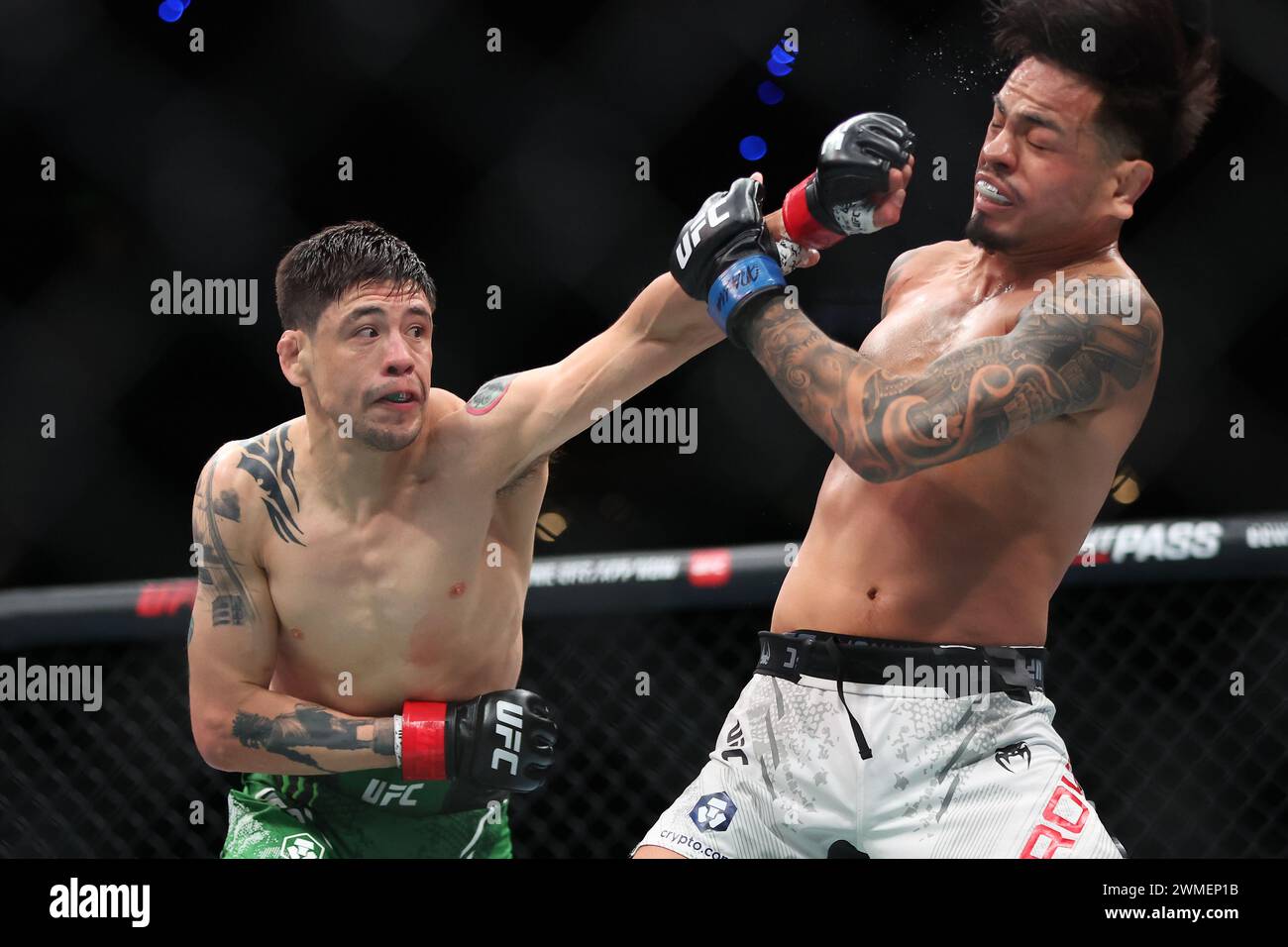 Mexico City, Mexico. 24th Feb, 2024. MEXICO CITY, MEX - February 24 ...