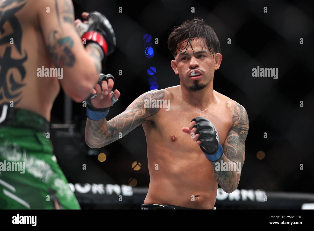 Mexico City, Mexico. 24th Feb, 2024. MEXICO CITY, MEX - February 24 ...