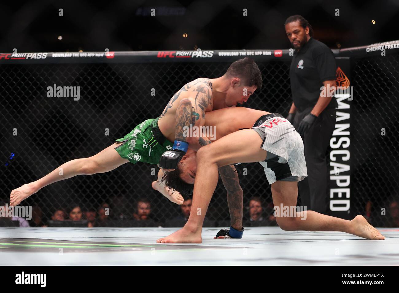 Mexico City, Mexico. 24th Feb, 2024. MEXICO CITY, MEX - February 24 ...