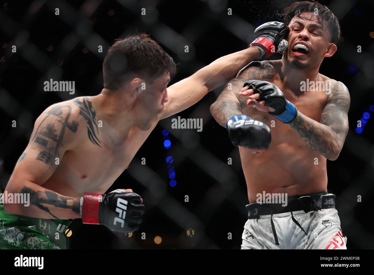 Mexico City, Mexico. 24th Feb, 2024. MEXICO CITY, MEX - February 24 ...