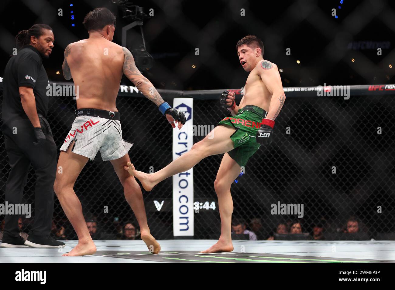 Mexico City, Mexico. 24th Feb, 2024. MEXICO CITY, MEX - February 24 ...