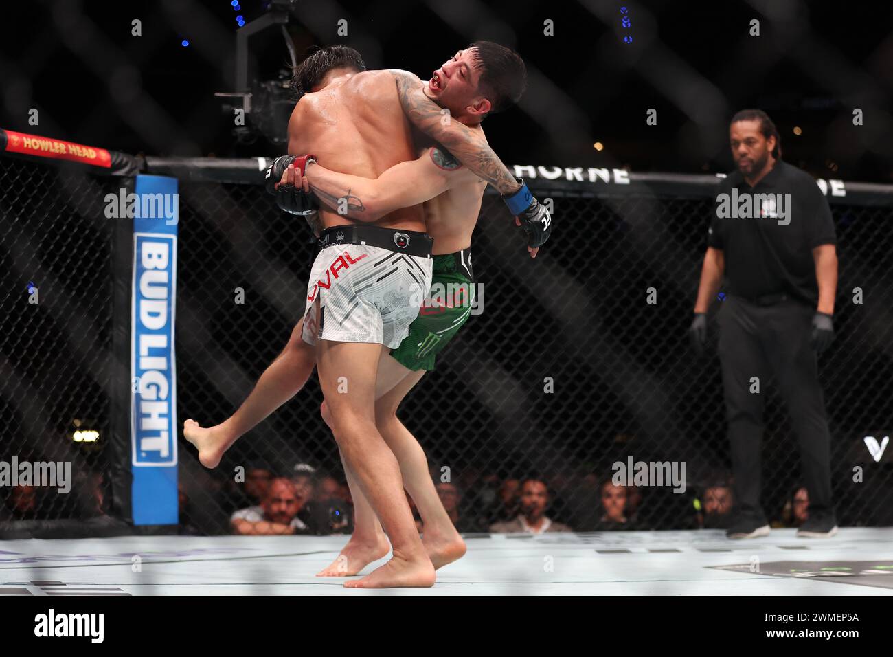 Mexico City, Mexico. 24th Feb, 2024. MEXICO CITY, MEX - February 24 ...