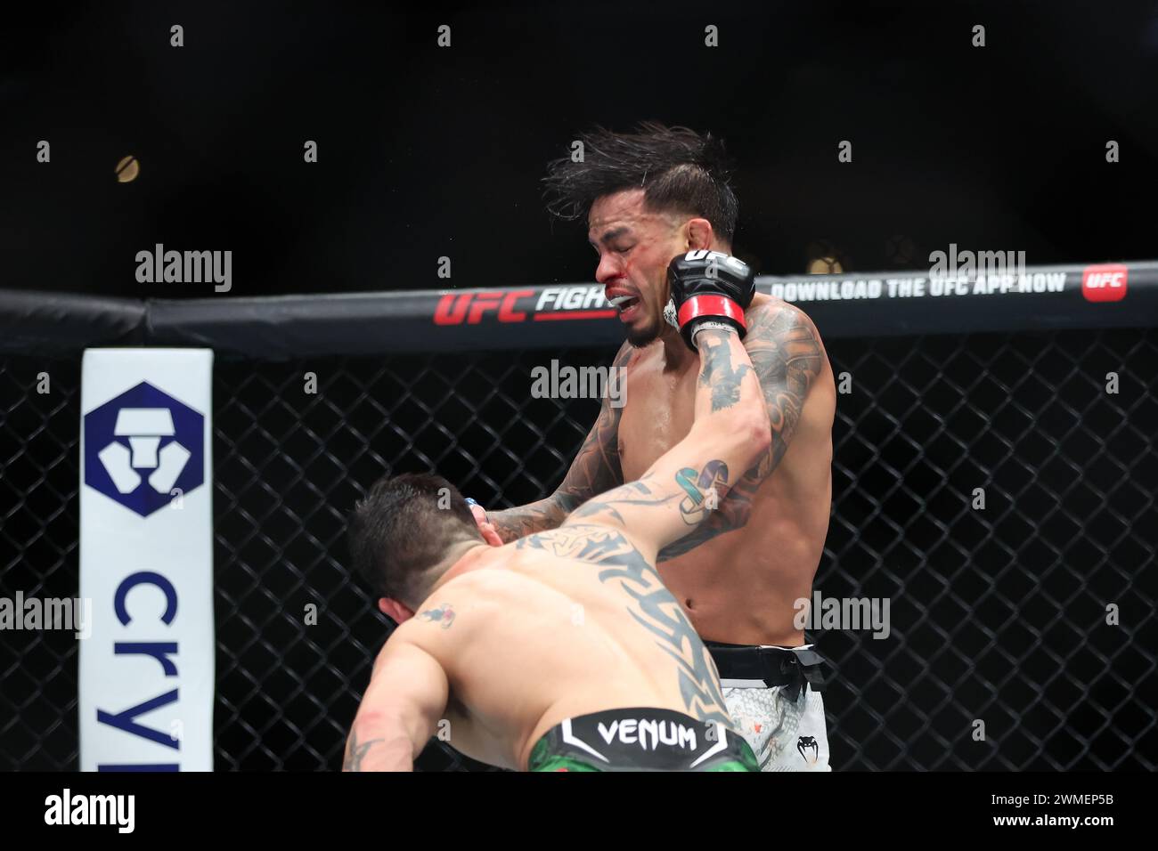 Mexico City, Mexico. 24th Feb, 2024. MEXICO CITY, MEX - February 24 ...