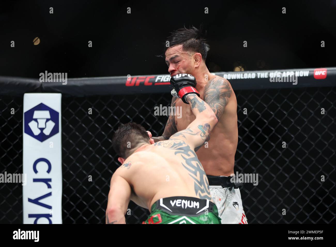 Mexico City, Mexico. 24th Feb, 2024. MEXICO CITY, MEX - February 24 ...