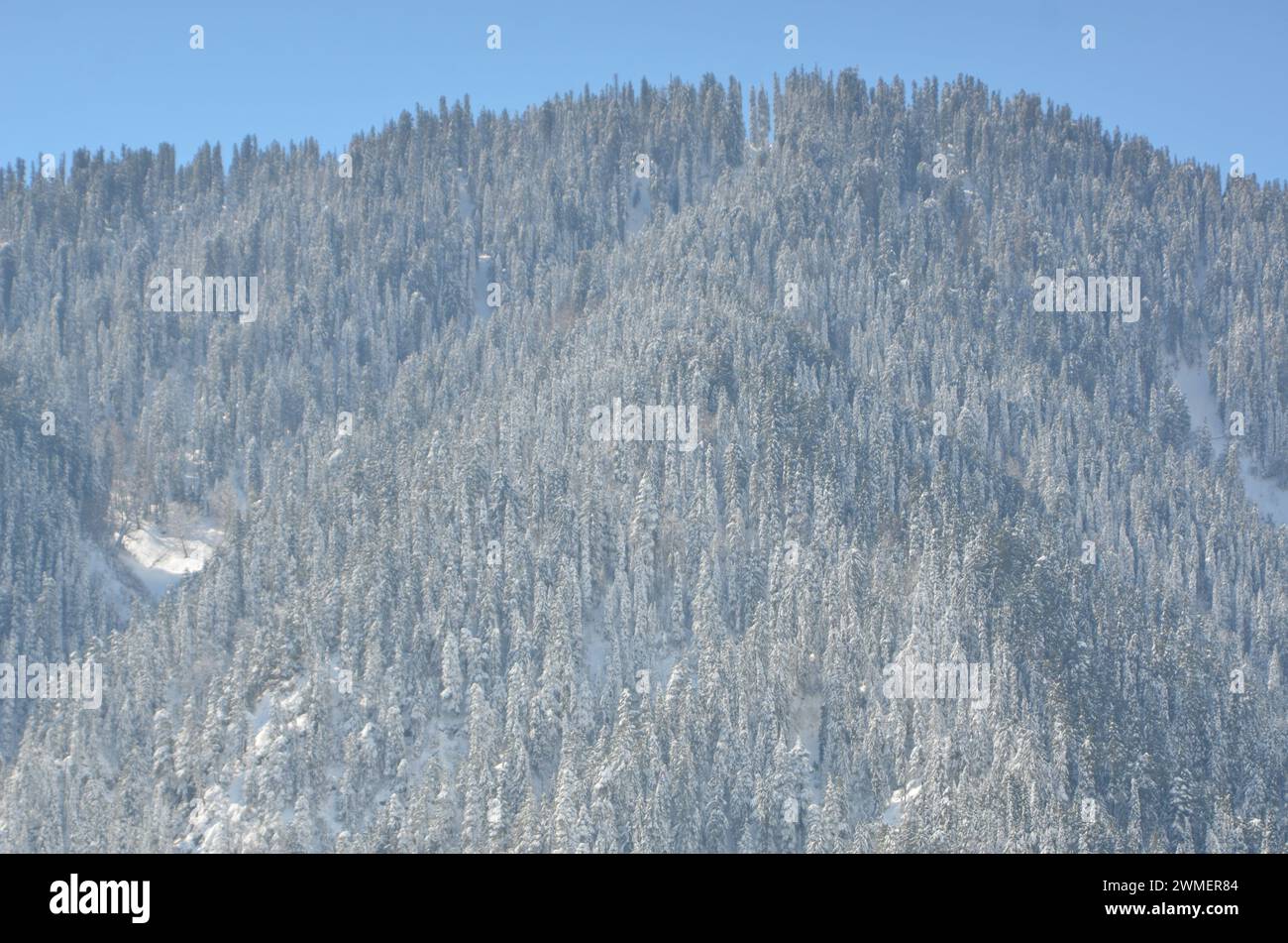 heavy snowfall in hilly areas of KP Pakistan Stock Photo - Alamy