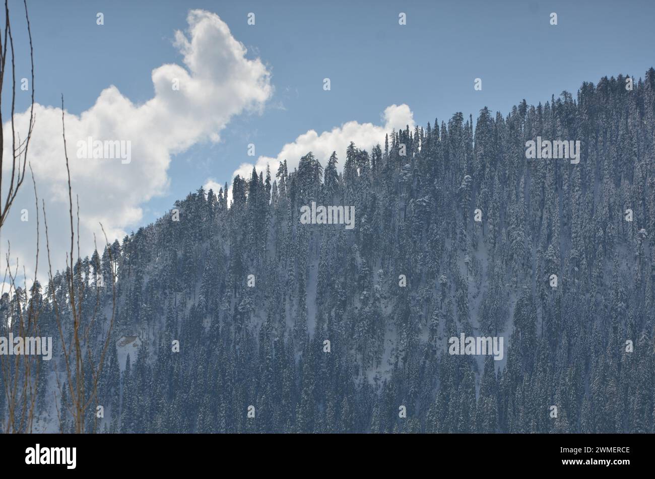 heavy snowfall in hilly areas of KP Pakistan Stock Photo - Alamy