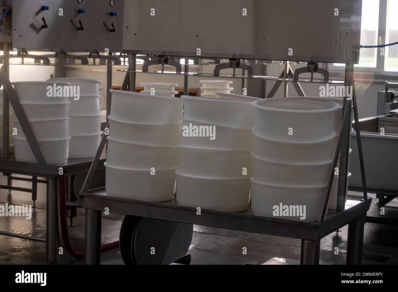 Process of organic cheese making from cow milk on bio cheese farm in ...