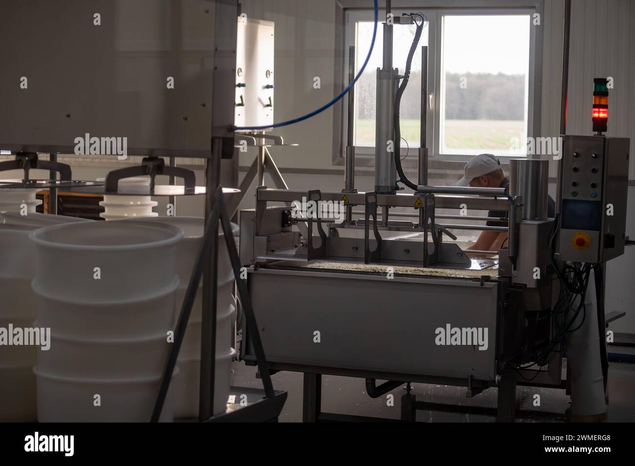 Process of organic cheese making from cow milk on bio cheese farm in ...