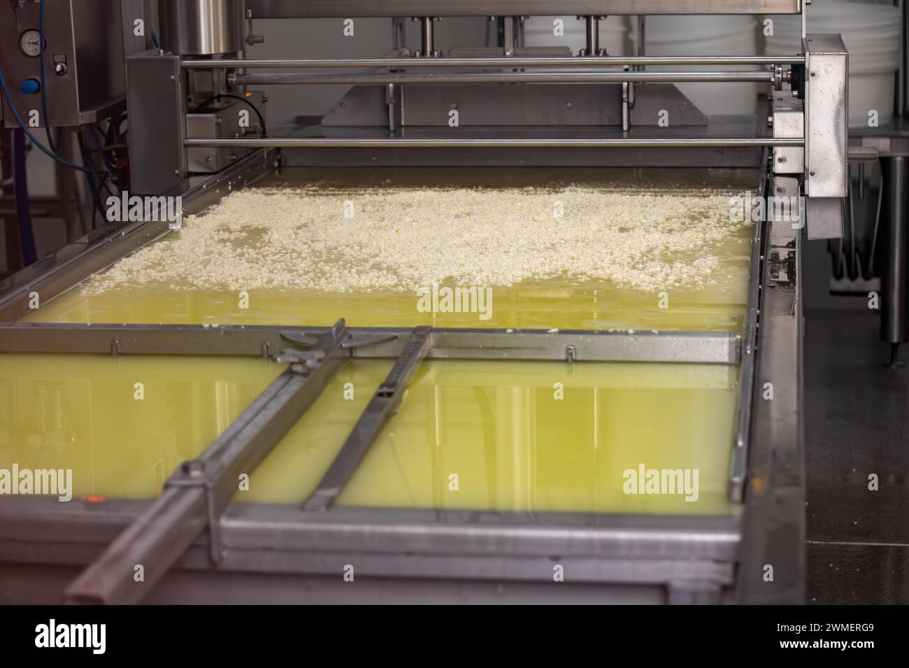 Process of organic cheese making from cow milk on bio cheese farm in ...