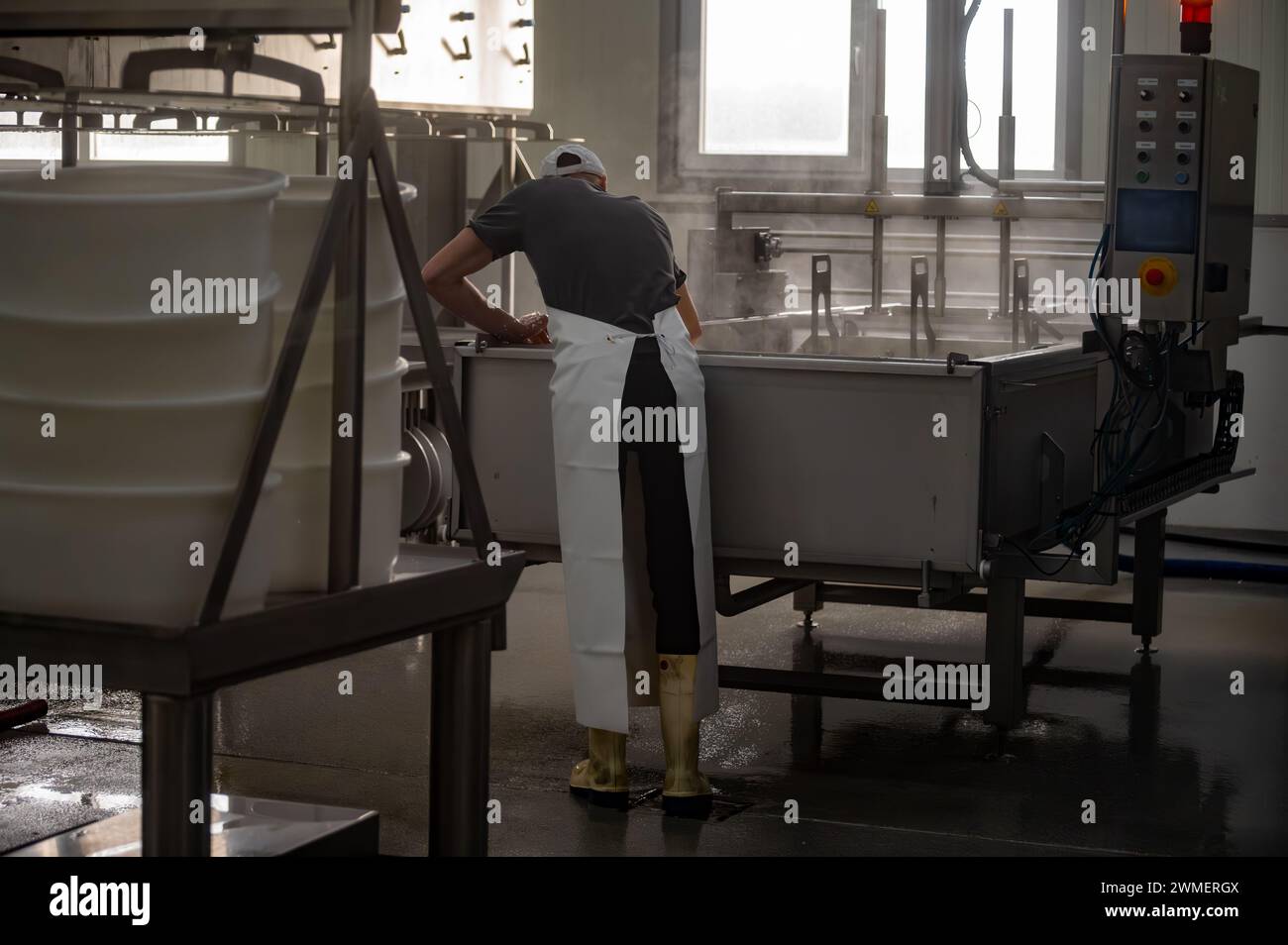 Process of organic cheese making from cow milk on bio cheese farm in ...