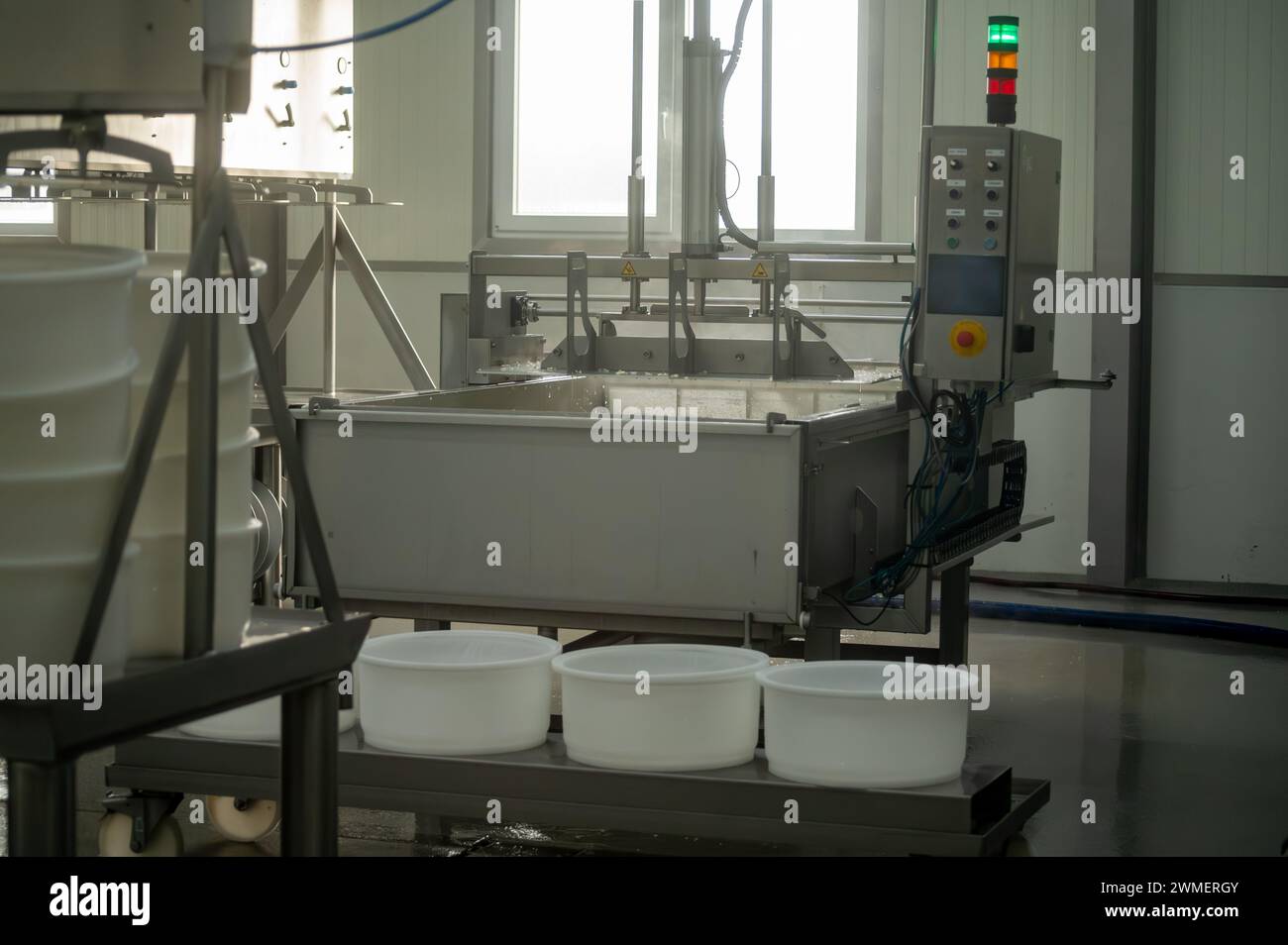 Process of organic cheese making from cow milk on bio cheese farm in ...