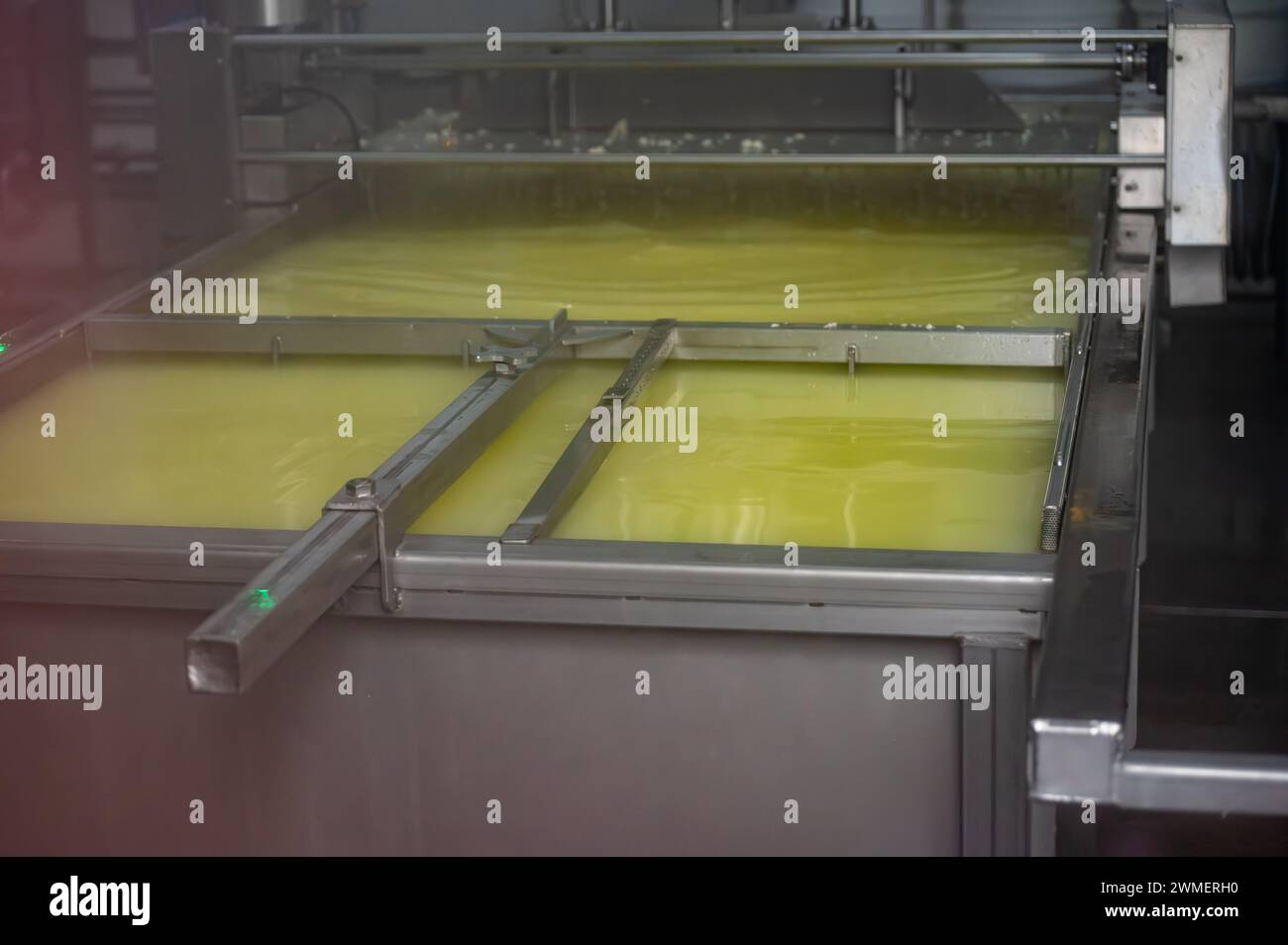 Process of organic cheese making from cow milk on bio cheese farm in ...