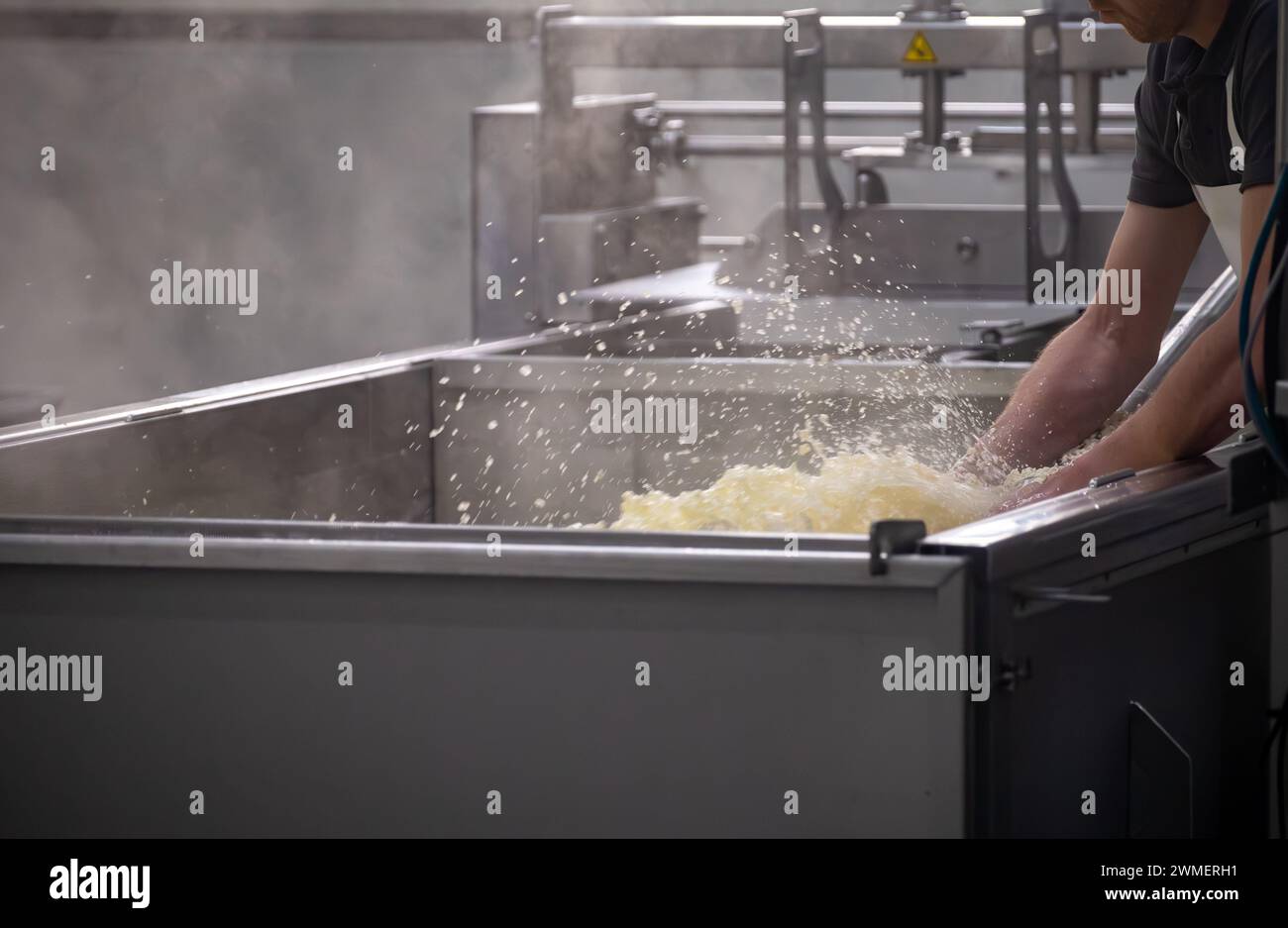 Process of organic cheese making from cow milk on bio cheese farm in ...