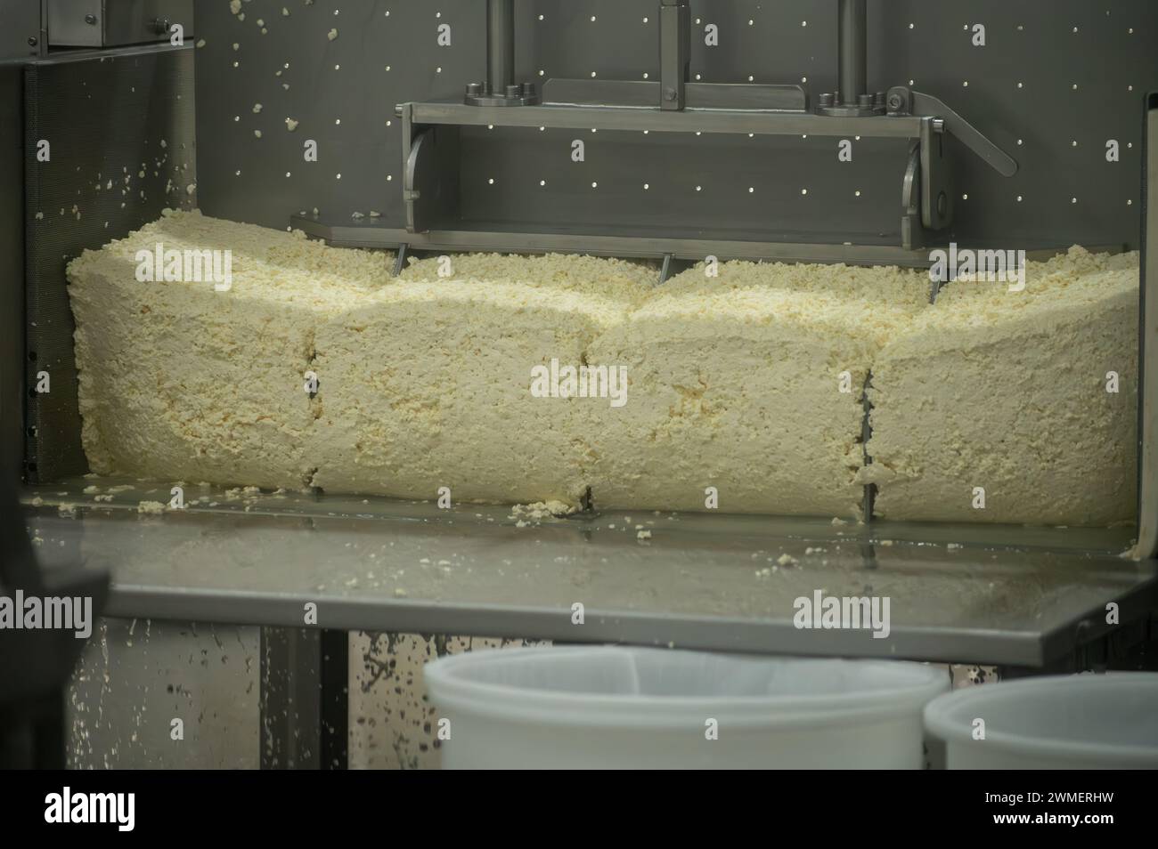 Process of organic cheese making from cow milk on bio cheese farm in ...
