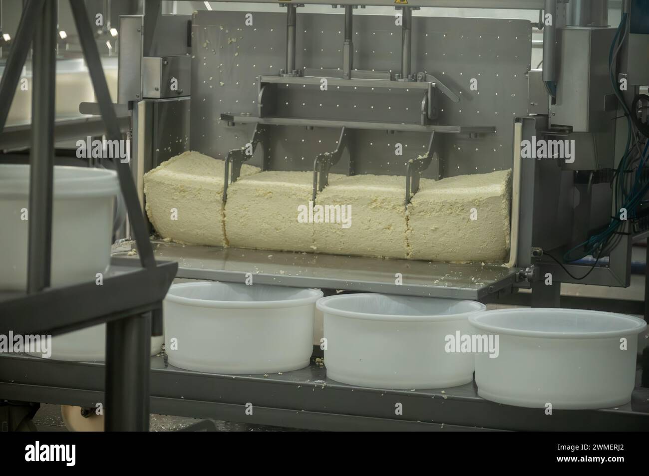 Process of organic cheese making from cow milk on bio cheese farm in ...