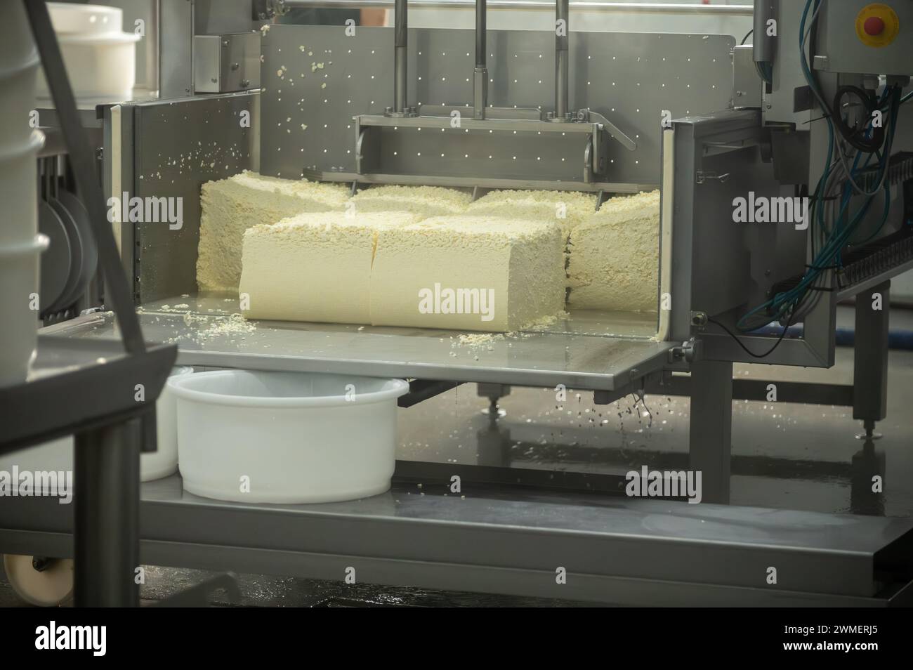 Process of organic cheese making from cow milk on bio cheese farm in ...