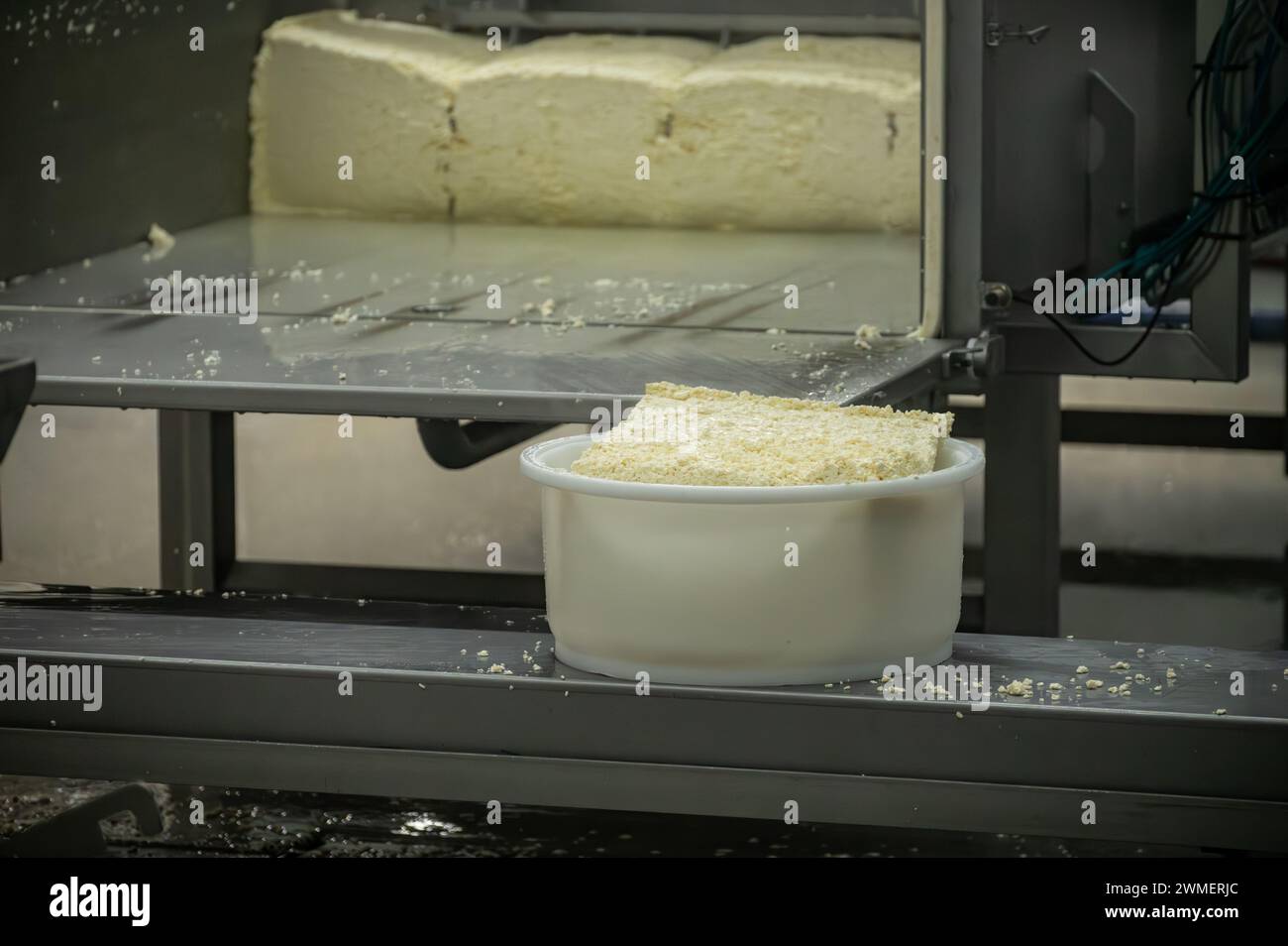 Process of organic cheese making from cow milk on bio cheese farm in ...