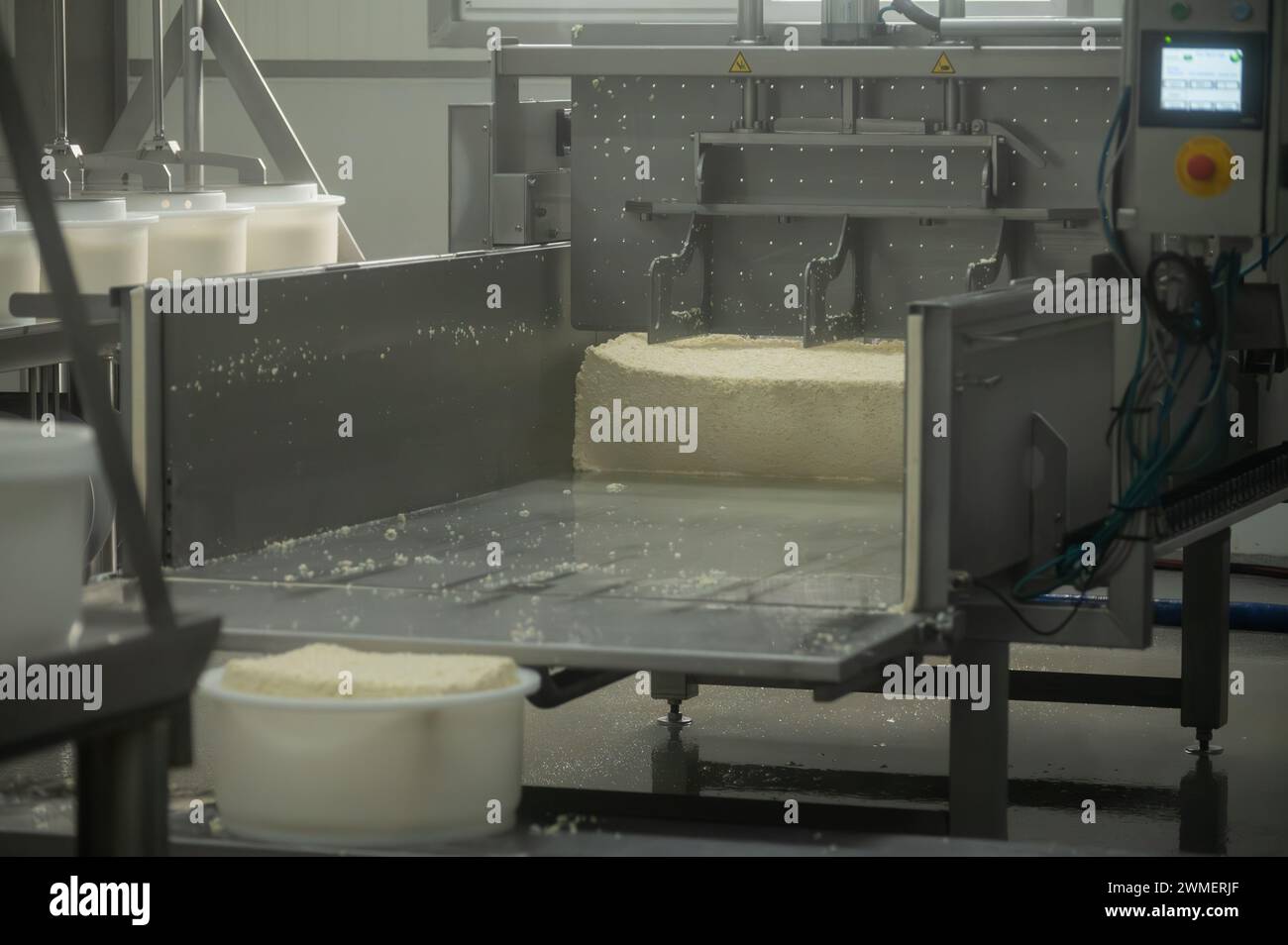 Process of organic cheese making from cow milk on bio cheese farm in ...