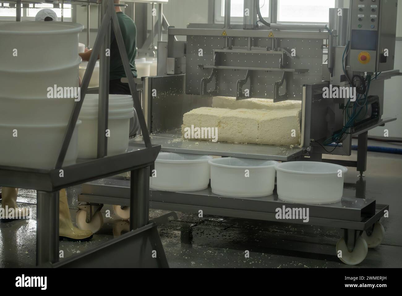 Process of organic cheese making from cow milk on bio cheese farm in ...