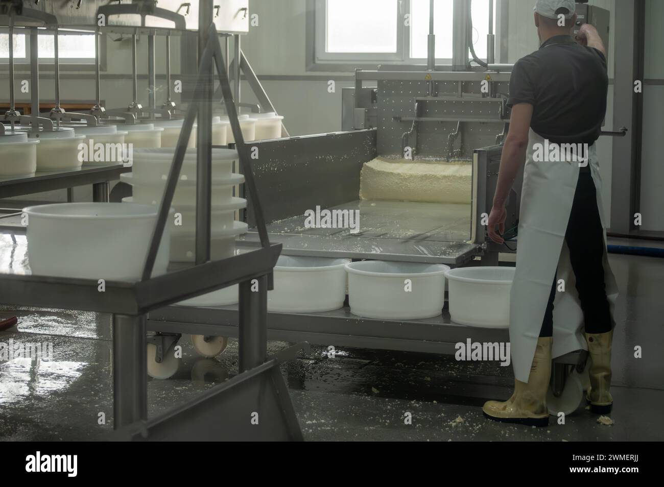 Process of organic cheese making from cow milk on bio cheese farm in ...