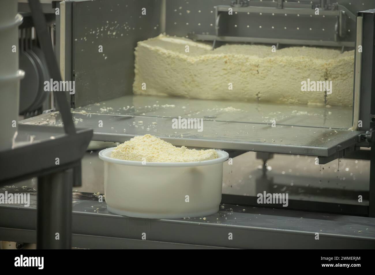 Process of organic cheese making from cow milk on bio cheese farm in ...